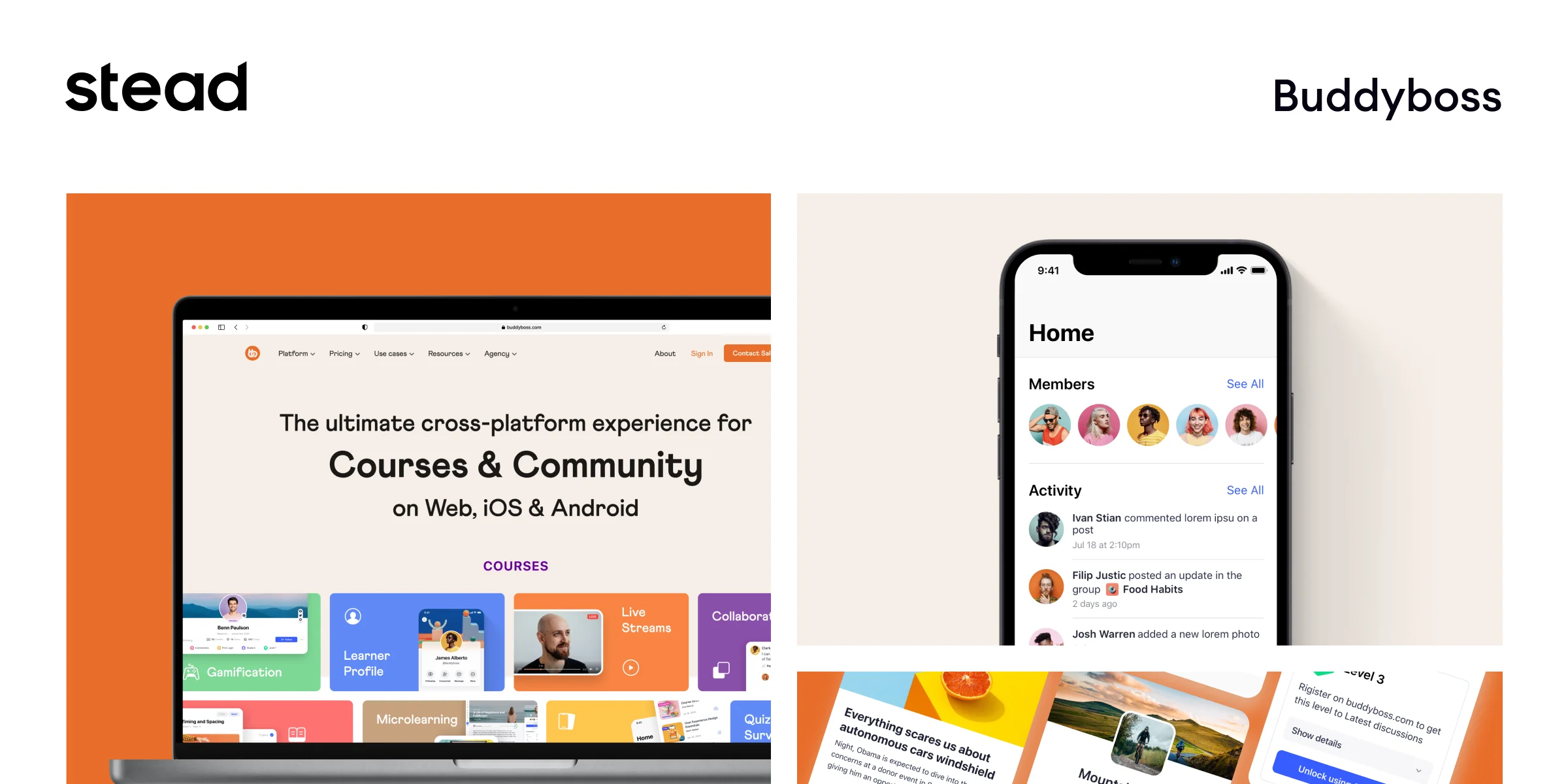 BuddyBoss | Online Learning & Social Networking Platform | Stead.global