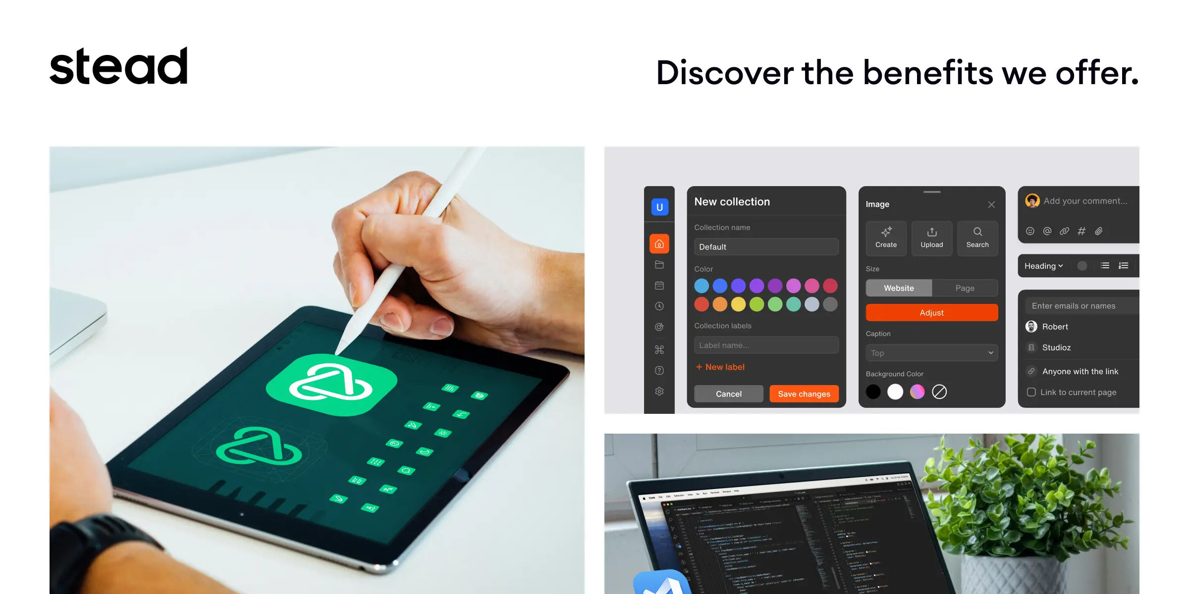 Stead | Expert Digital Branding & Software Solutions